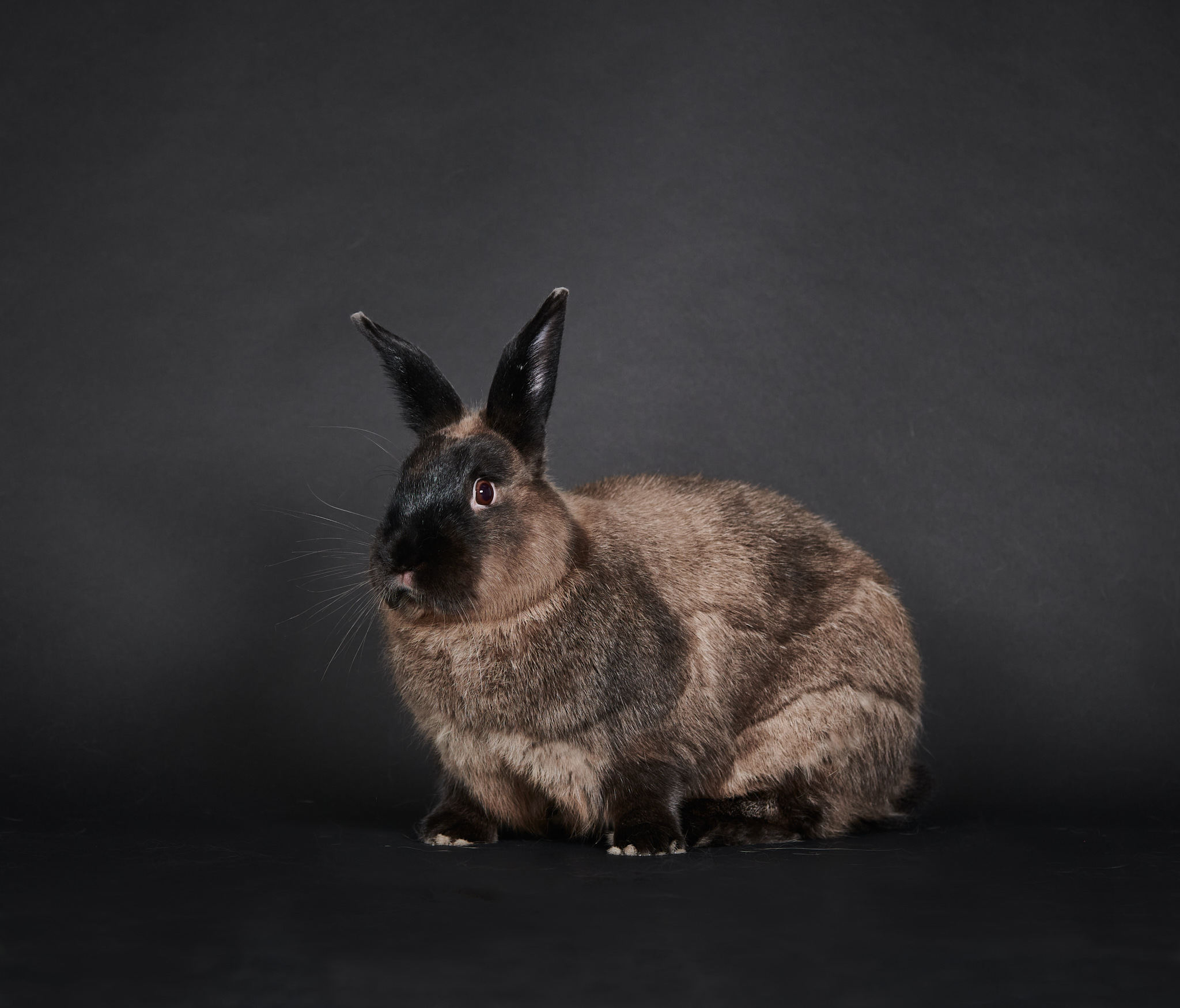 Patrick | City of Delta