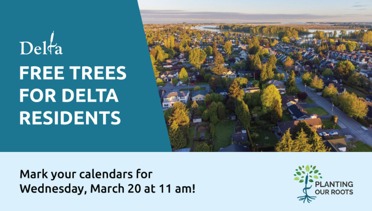 City of Delta Launches Reservation Form for Free Trees Through Planting ...