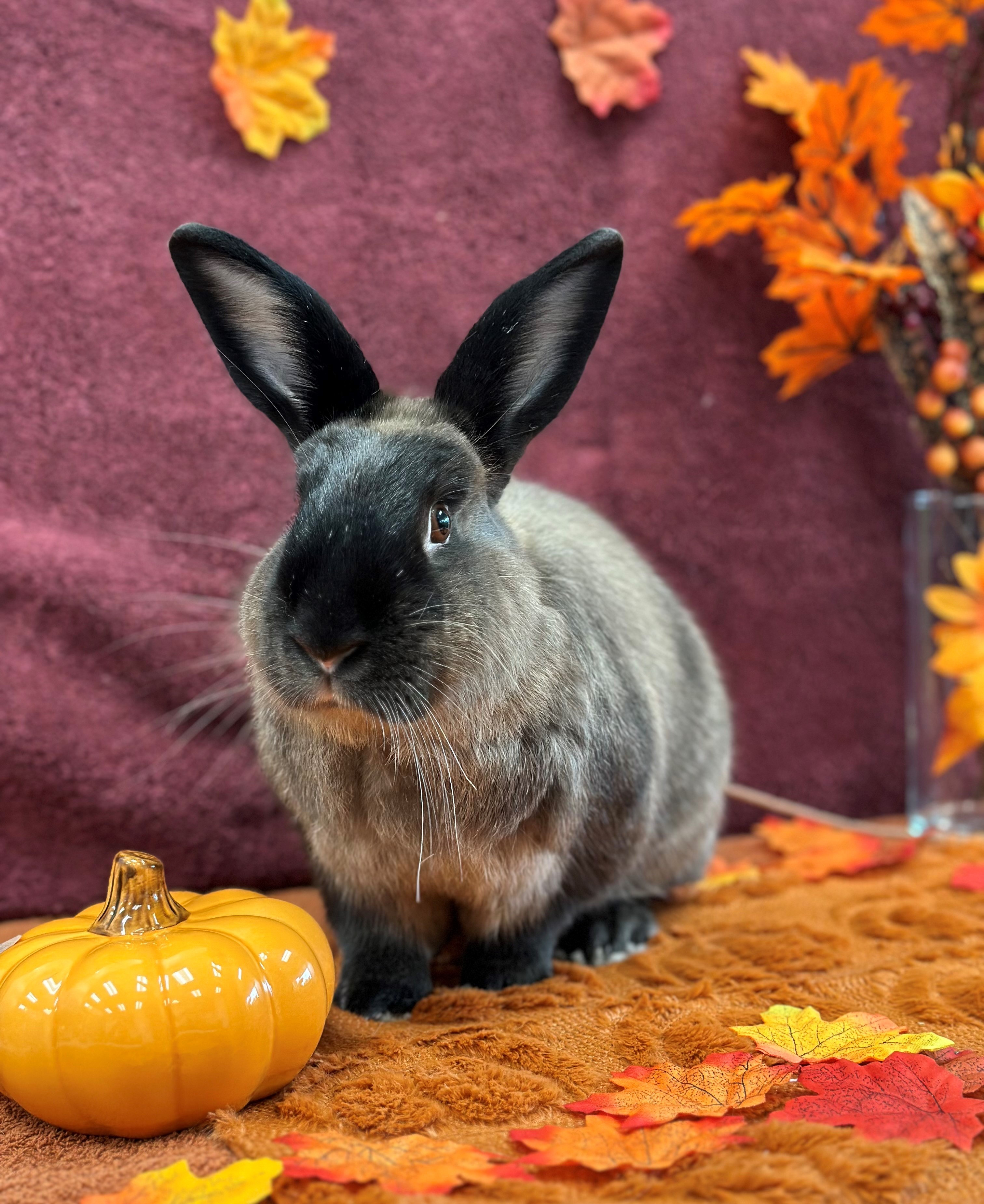 Patrick | City of Delta