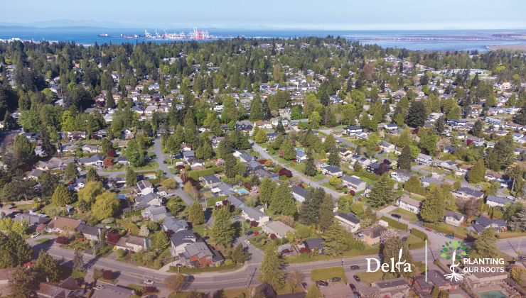 News Release: Planting Our Roots to Bring 250 Free Trees to Delta ...