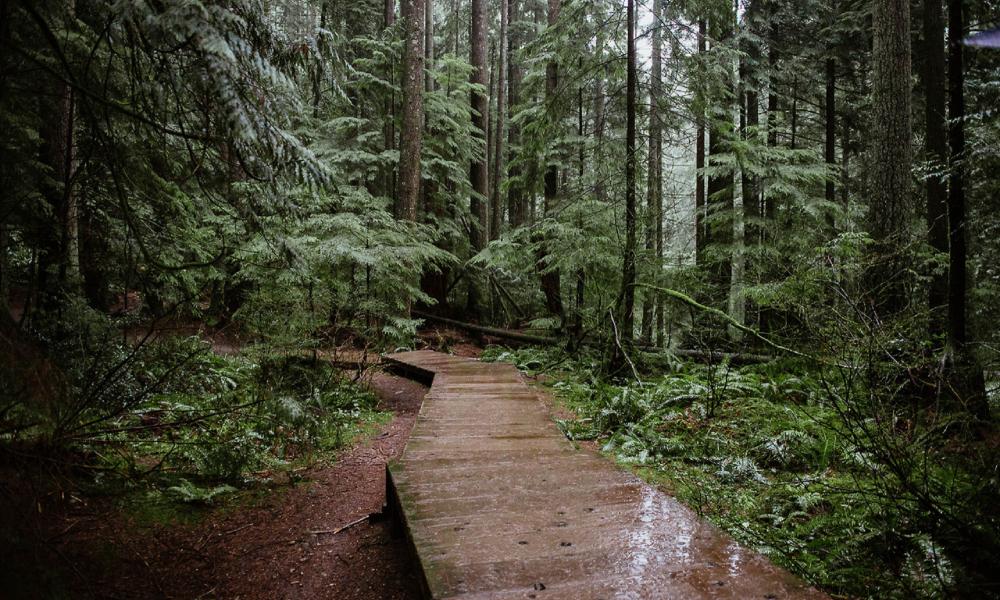 Parks & Recreation | City of Delta